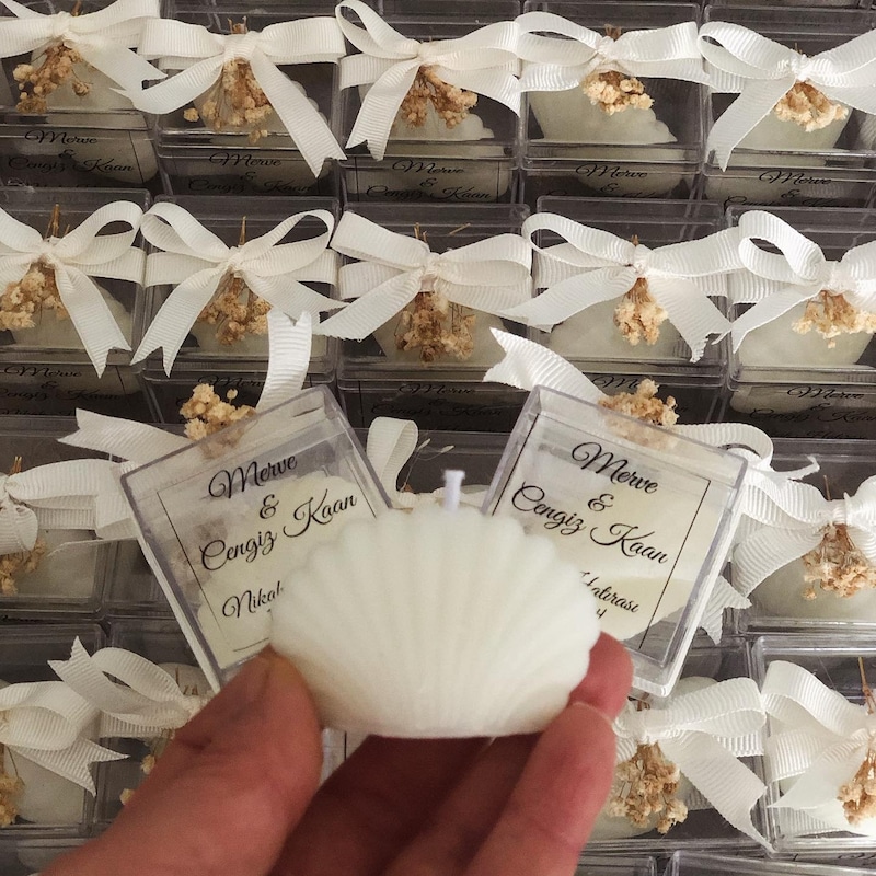 Seashell Favors - Etsy