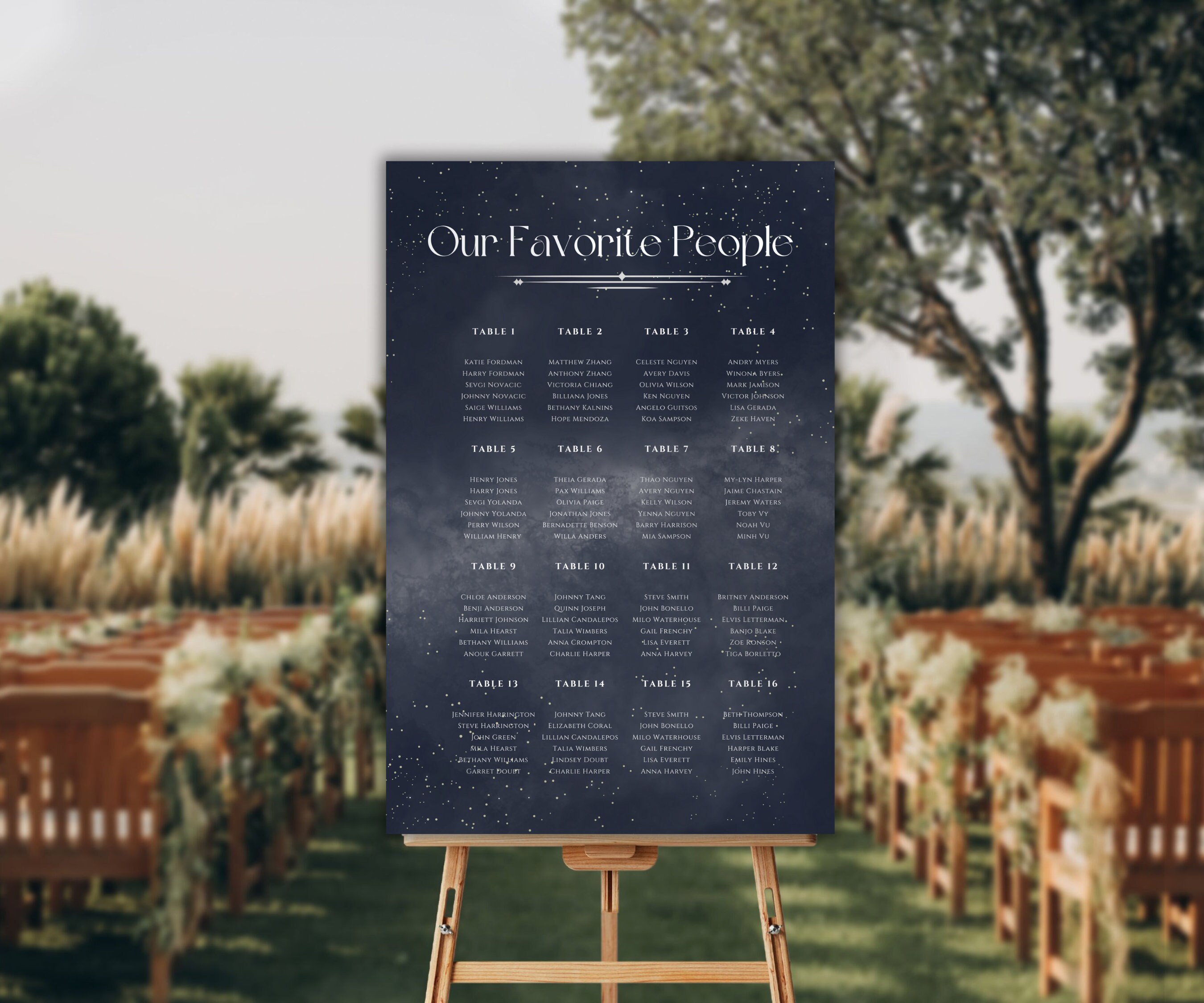 Starry Night Seating: Guided by the Cosmos - Seating Chart - Cosmic ...
