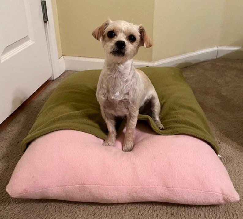 3 in 1 Dog Beds, Small Dog Bed, Pet Furniture, Cat Bed, Therapeutic Dog ...