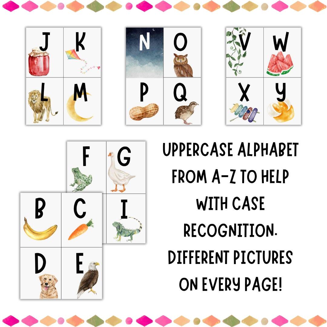 Alphabet Flash Cards, Numbers 0-20, Colors, Bright and Beautiful ...