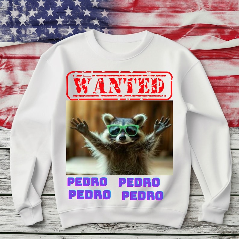 Pedro Raccoon, Png , Funny Raccoon Sublimation Design Shirt Mug Tote ...