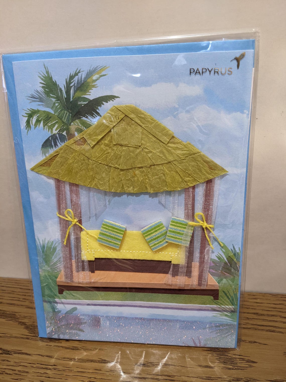Papyrus Blank Card Cabana All Occasions Blank Inside for Your Own ...