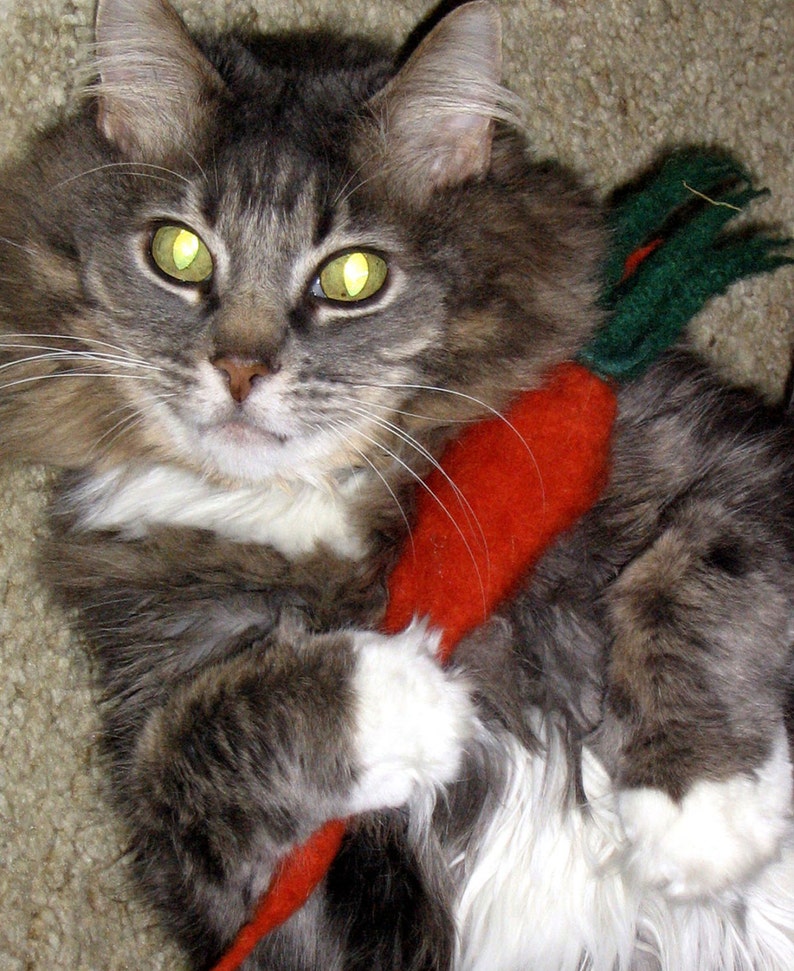 Kitty Karrots W Katnip - Felted-wool Carrot Stuffed With Organic Catnip ...