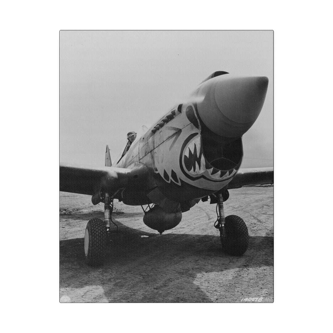 Curtis P-40 Warhawk Airplane Model WWII Vintage Military Aircraft Wall ...