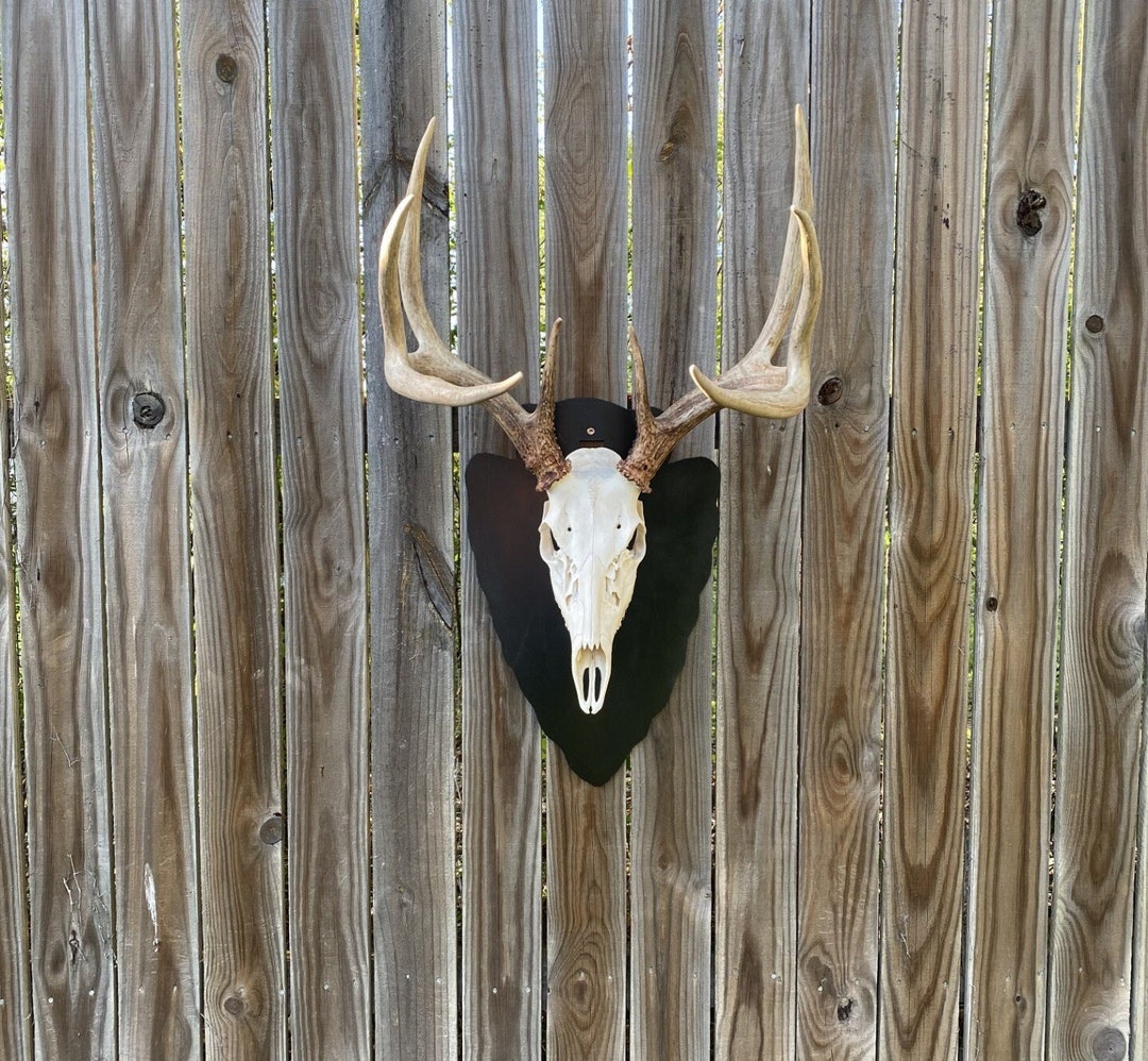 European Deer Mount Metal Arrowhead Shape - Etsy