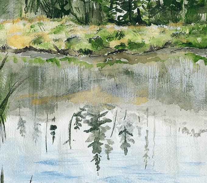 Rocky Mountain National Park Watercolor Painting: Colorado Lake Scene ...