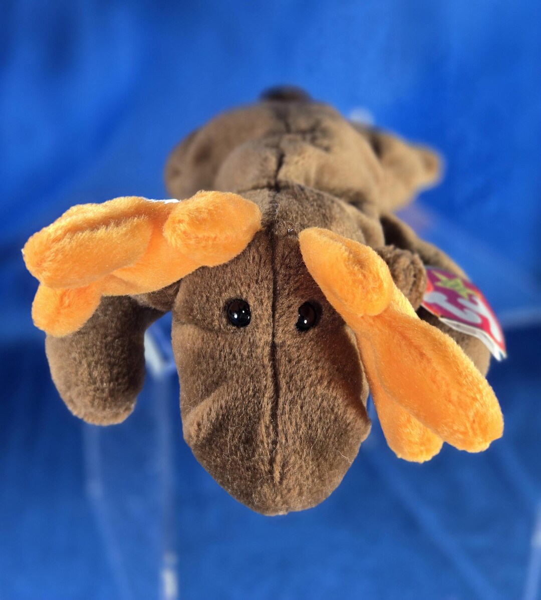 Vintage Ty Beanie Baby "chocolate" the Moose (1993) – Brown Plush Moose ...