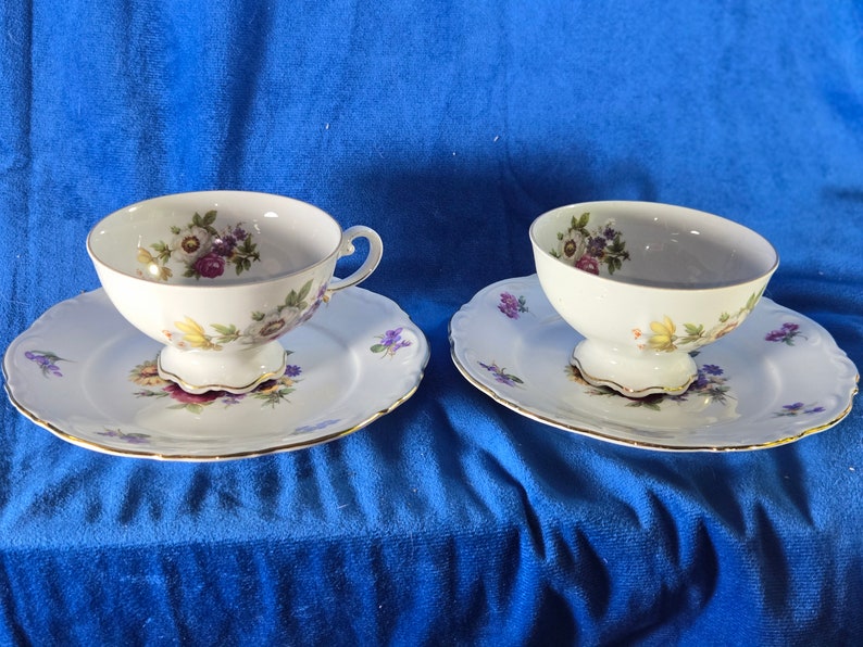 Vintage Meissen Floral by Mitterteich China - Elegant Cup and Saucer ...