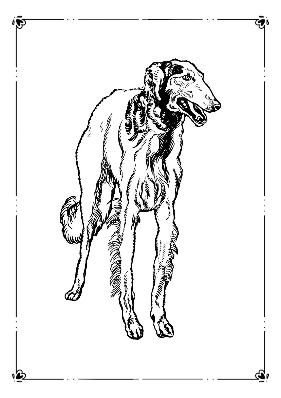 Dogs | Coloring Book | Digital Print - Etsy