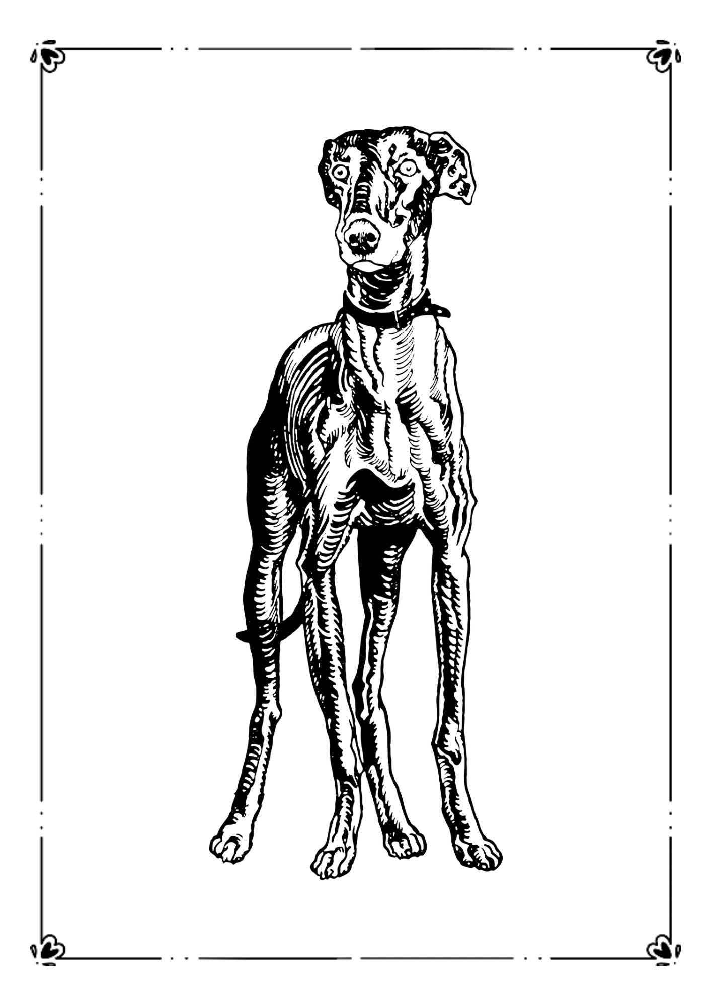 Dogs | Coloring Book | Digital Print - Etsy