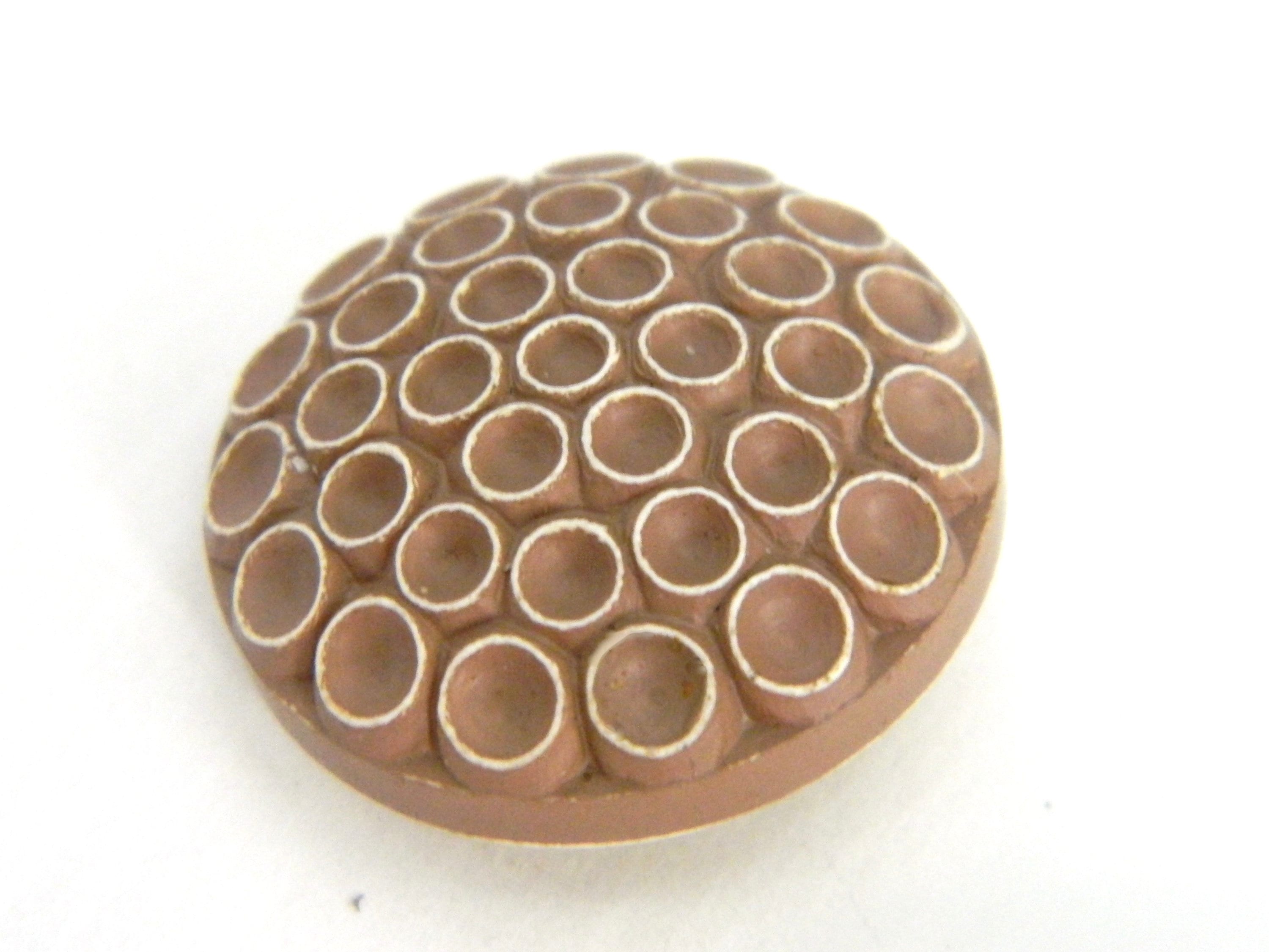 Vintage Beige Celluloid Buffed Honeycomb Button, Buttons, Beige Sewing ...