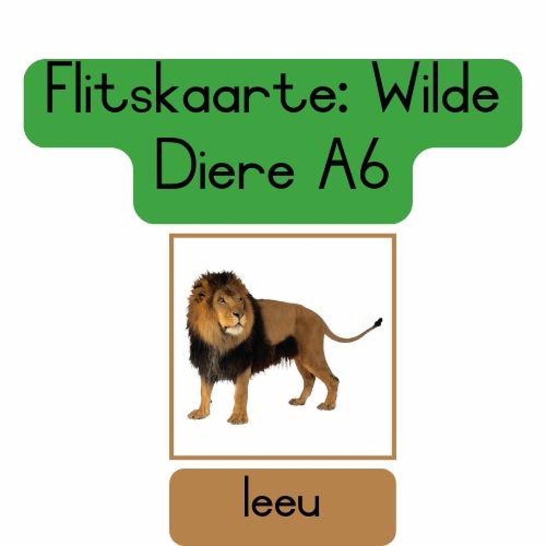 A6 Afrikaanse Wilde Diere Tema Flitskaarte - Etsy