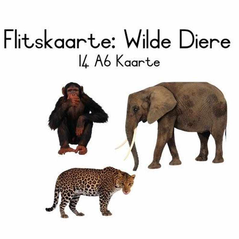 A6 Wilde Diere Flitskaarte - Etsy