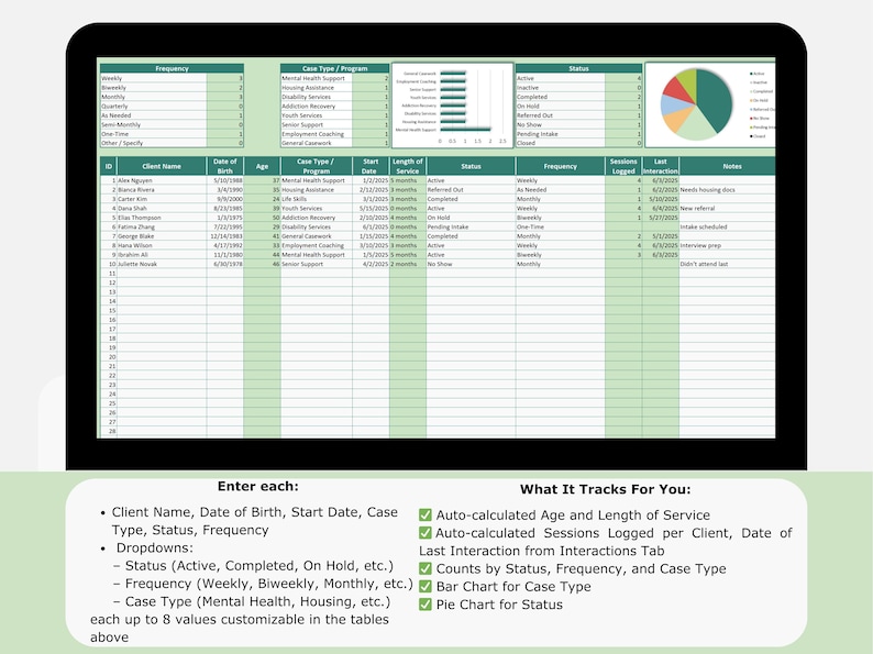 Social Work Case Management Tracker | Caseload Log (excel & Google ...