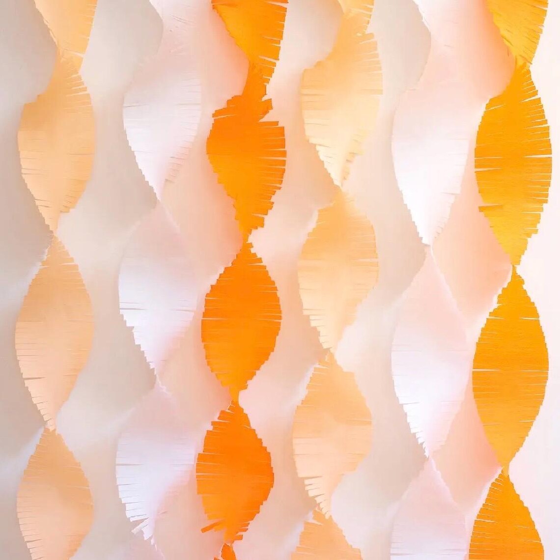 Fringe Crepe Streamers Backdrop Clementine - Etsy