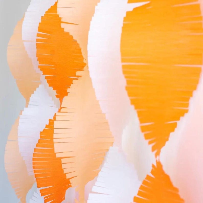 Fringe Crepe Streamers Backdrop Clementine - Etsy