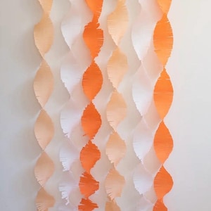 Fringe Crepe Streamers Backdrop Clementine - Etsy