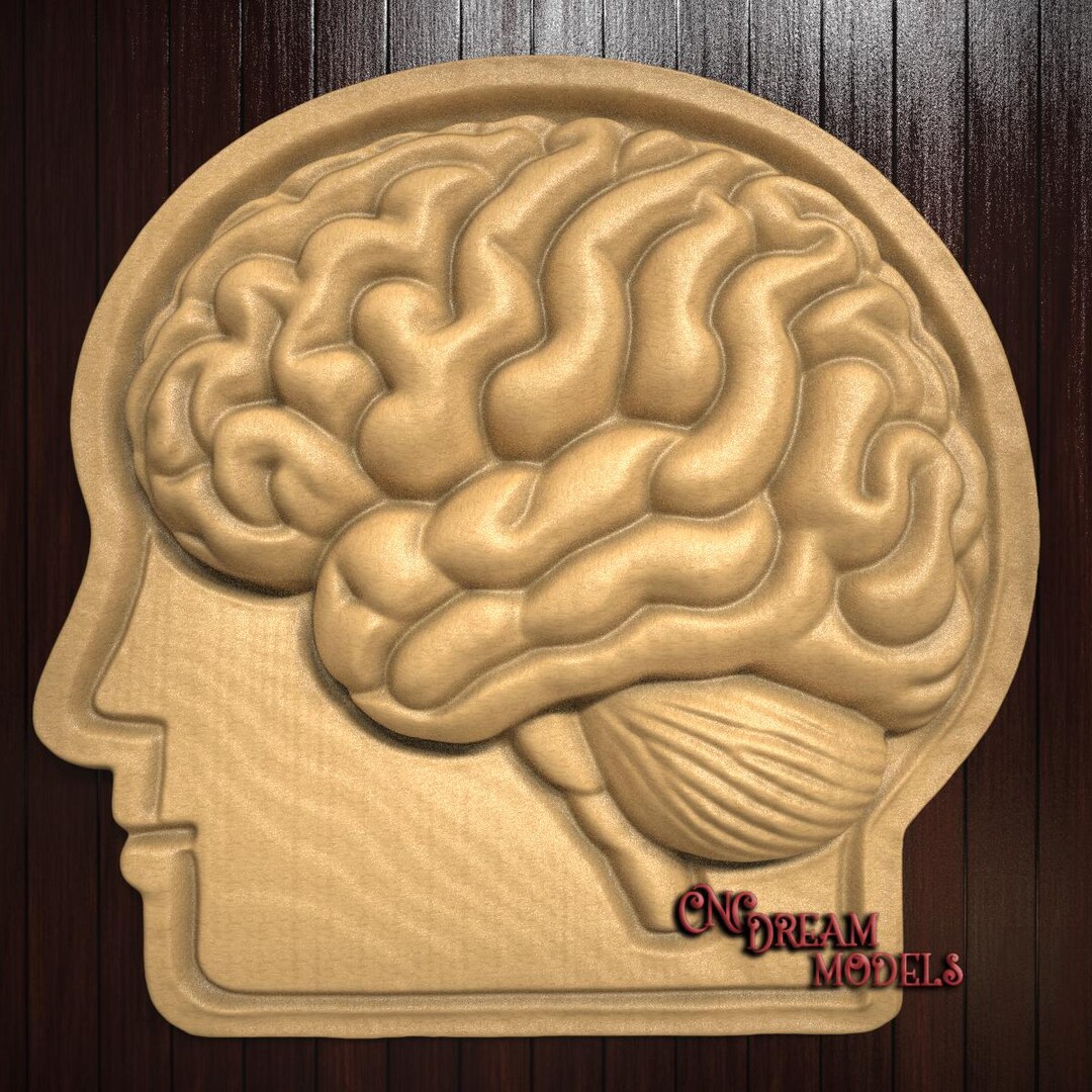 Brain Head Wall Art, 3D Relief CNC Router Carving File | STL File for ...