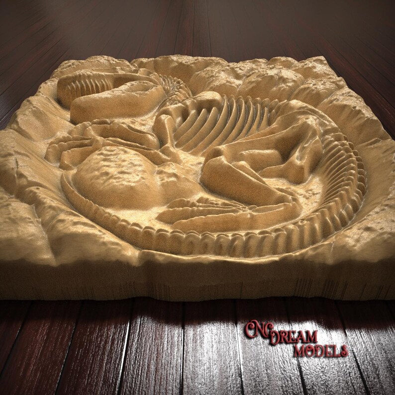 Curled Dinosaur Fossil Relief 3D STL File for CNC Router Carving or 3D ...