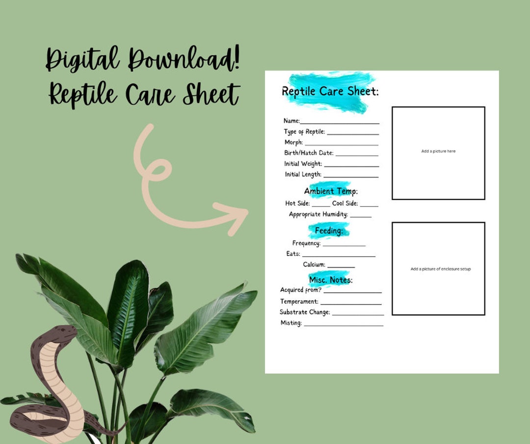 Reptile Care Sheet, Reptile Care Tracker, Snake, Lizard, Gecko, Reptile ...