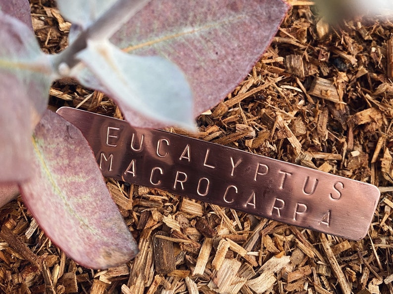 Copper Plant Labels Metal Garden Stakes and Tags Herb and Vegetable ...