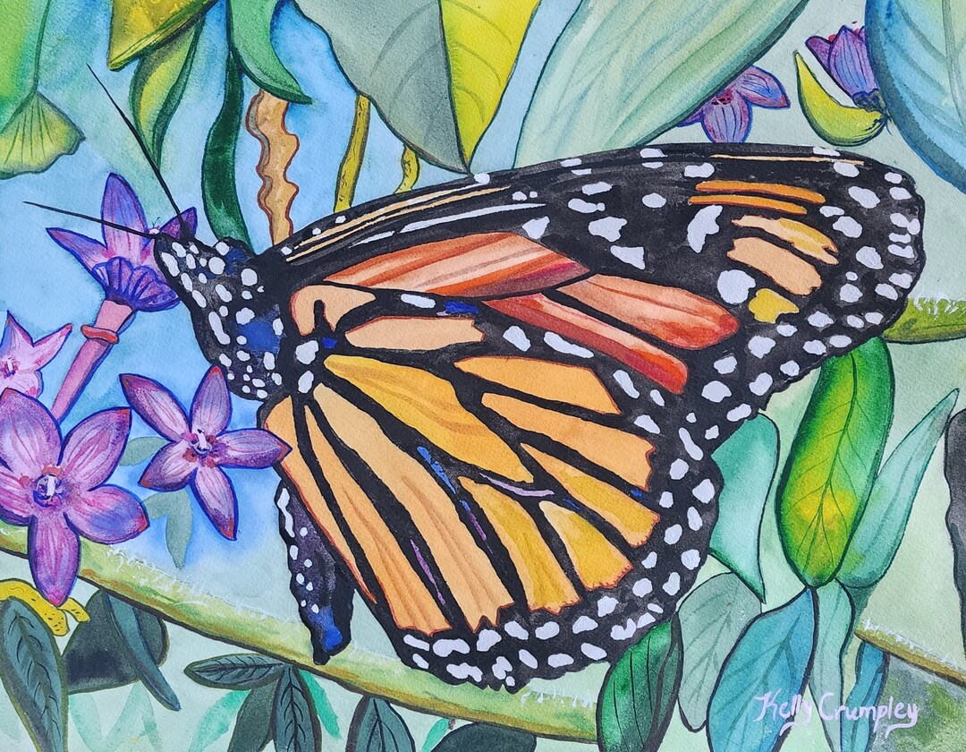Barbara's Baby Butterfly Watercolor Limited Edition Print - Kelly ...