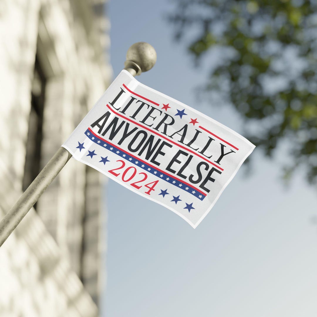 Literally Anyone Else 2024 Flag - Etsy