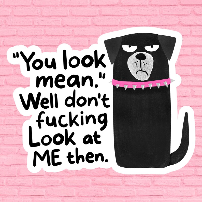 You Look Mean, Don't Look at Me, Dog. Vinyl Sticker - Etsy