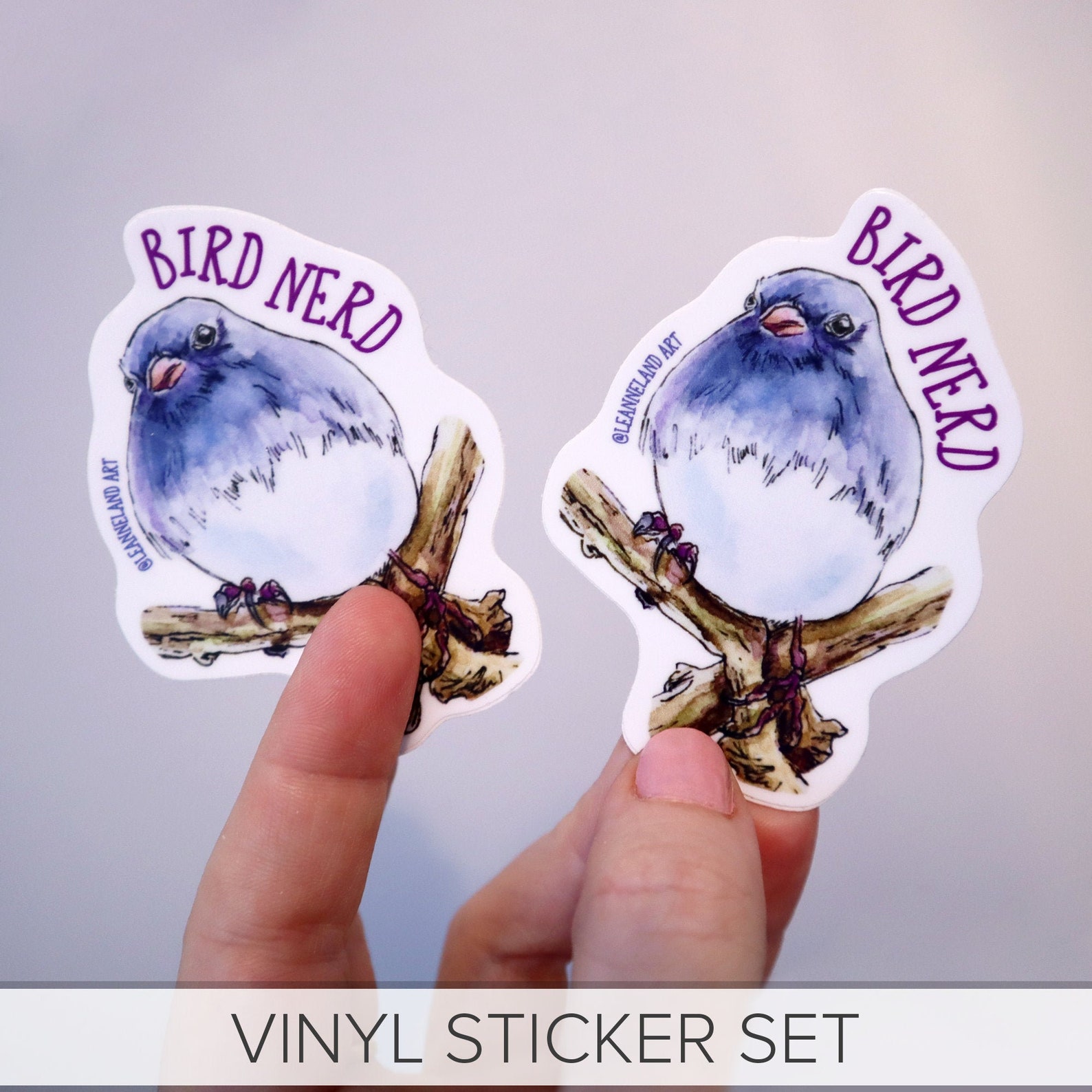 Bird Nerd STICKER SET Large Vinyl Stickers Art Designed by Me ...