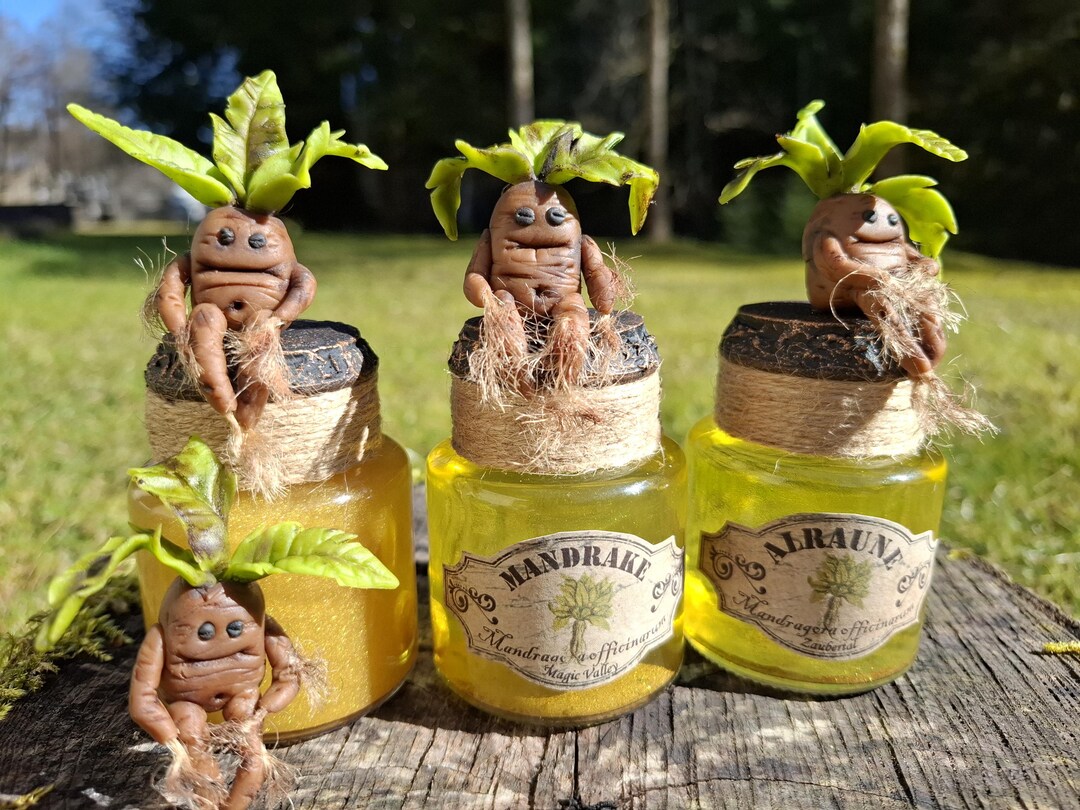 Mandrake Magic Potion With Little Mandrake Root – Color-changing Witch ...