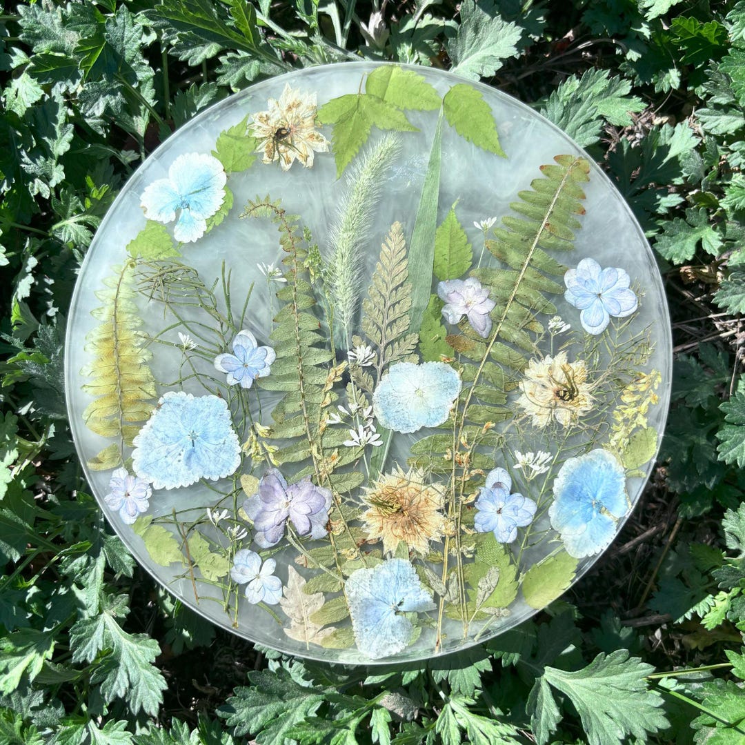 Pressed Flowers Coasters,dry Pressed Real Flowers Outdoor Coasters ...