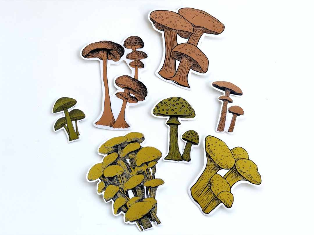 Set of 7 favorite Mushies Die Cut Waterproof Stickers Vintage Style ...