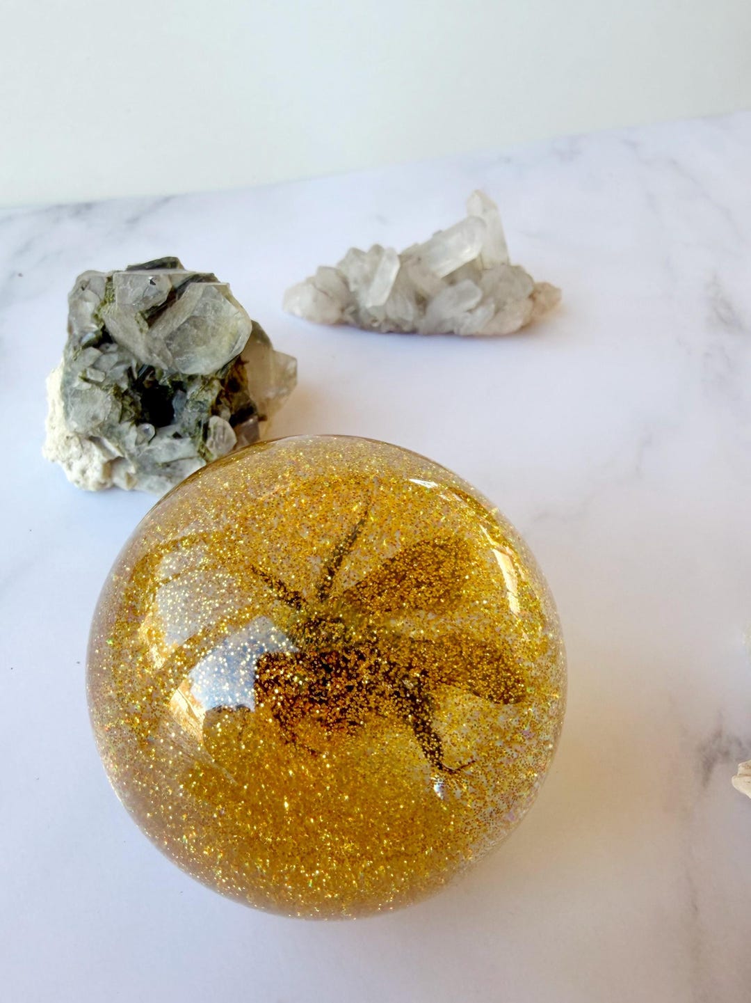 Real Insect in Gold Resin | Bumble Bee Paperweight | Botanical Specimen ...