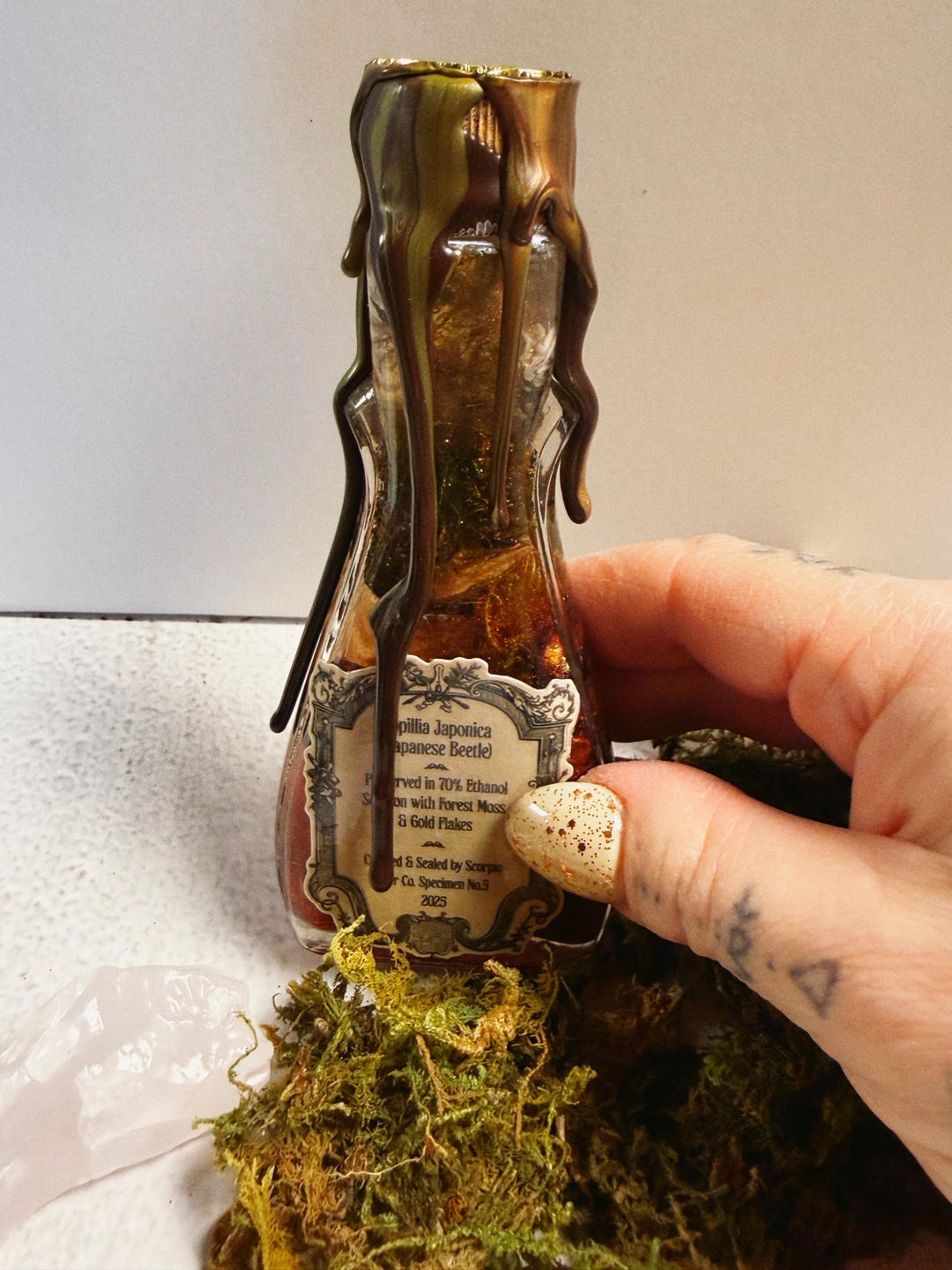 Vintage 1950s Potion Bottle Oddity With Japanese Beetles, Forest Moss ...
