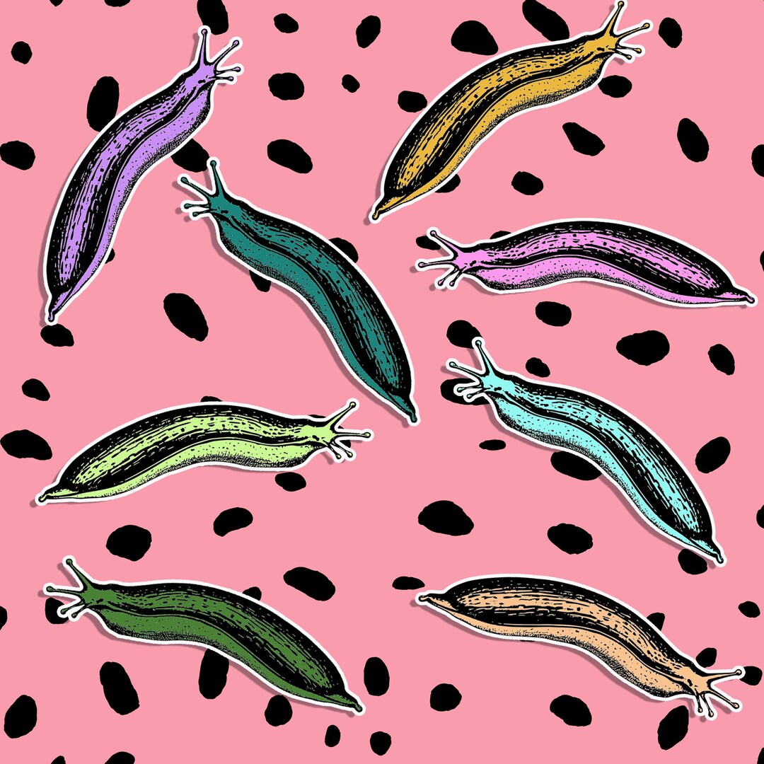 Unique Slug Sticker Sheets - Fun, Vibrant Insect Decals, Fun Designs ...