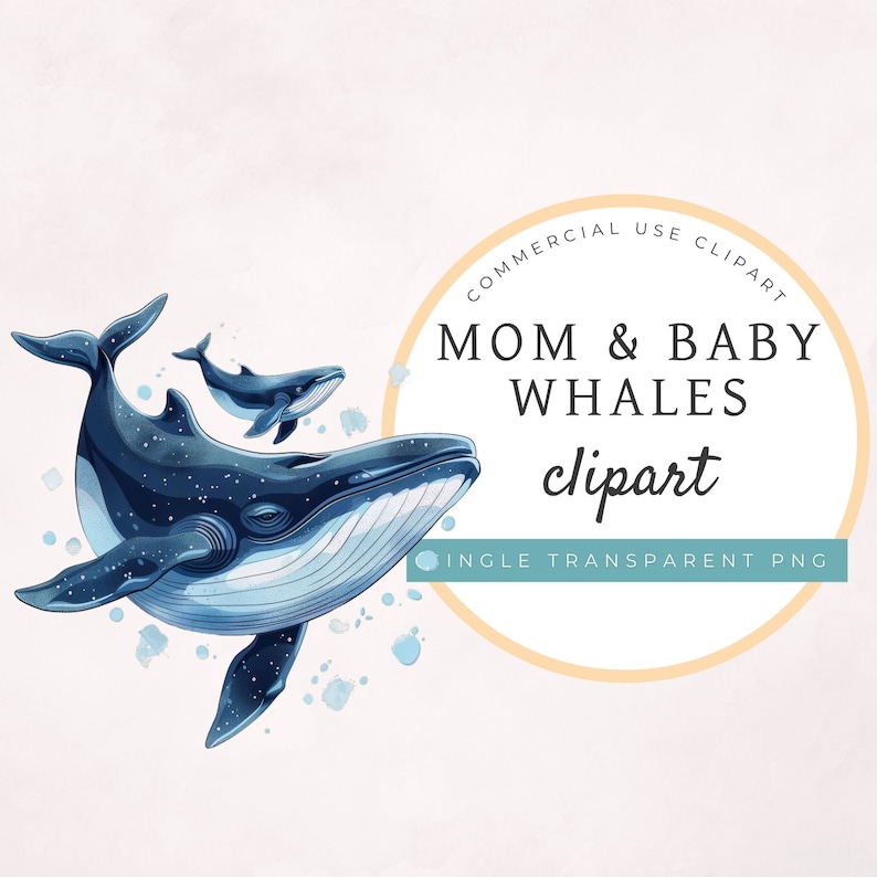 Baby Whale Clipart SINGLE TRANSPARENT PNG, Commercial Use, Digital ...