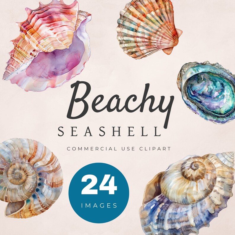 Beachy Seashell Clipart TRANSPARENT PNG, Shell Png, Abalone Clipart ...