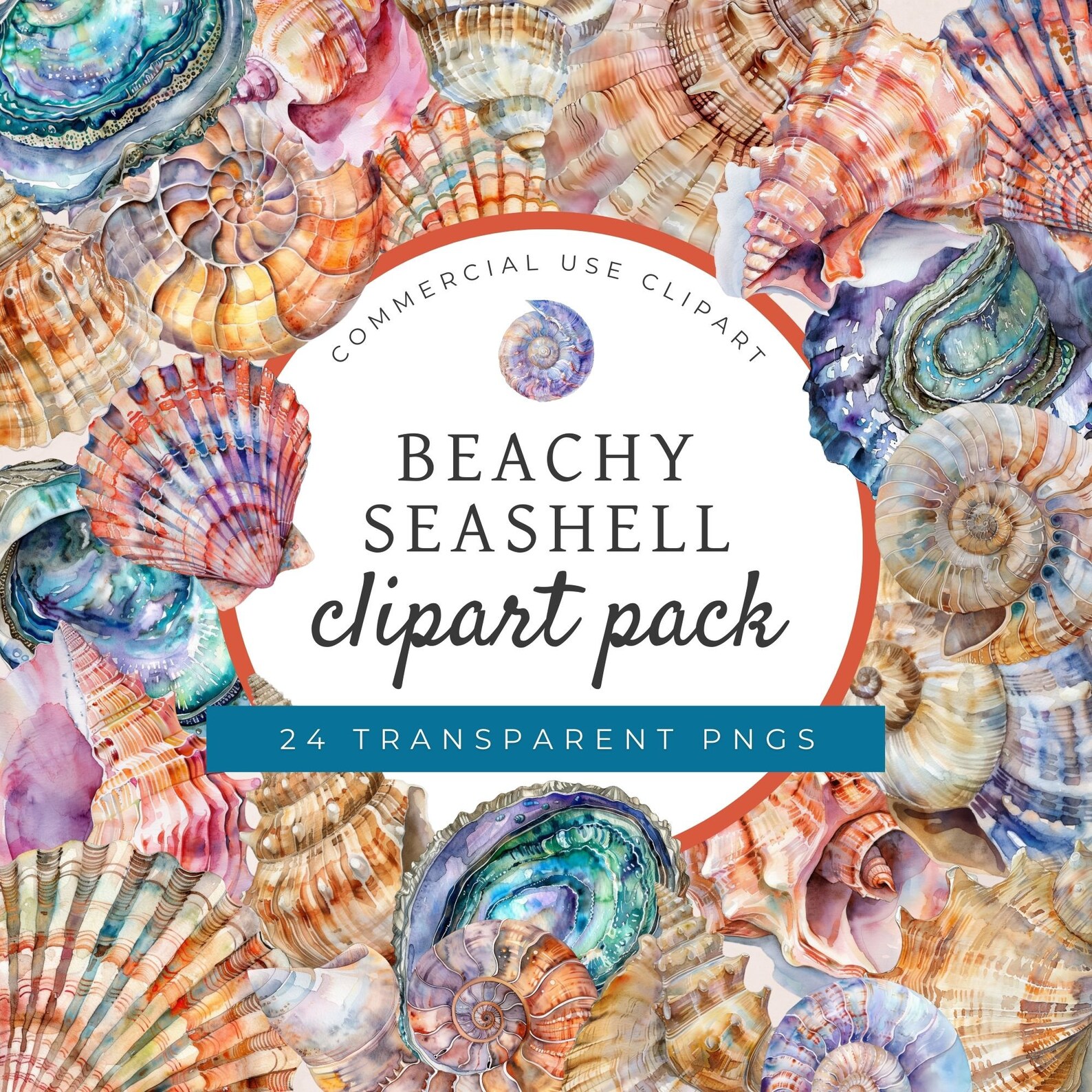 Beachy Seashell Clipart TRANSPARENT PNG, Shell Png, Abalone Clipart, Conch Shell, Nautilus Shell ...