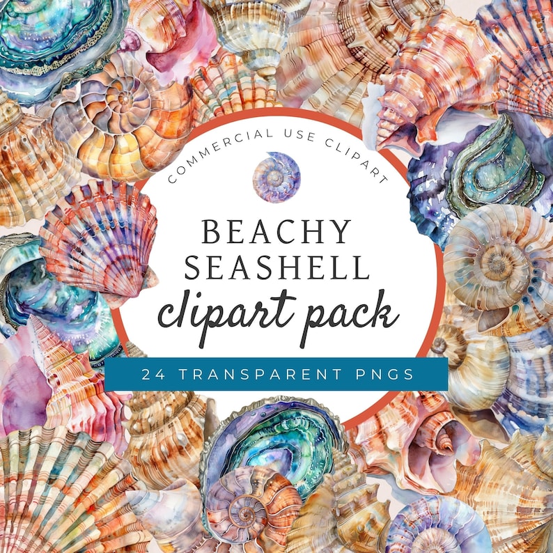 Beachy Seashell Clipart TRANSPARENT PNG, Shell Png, Abalone Clipart ...