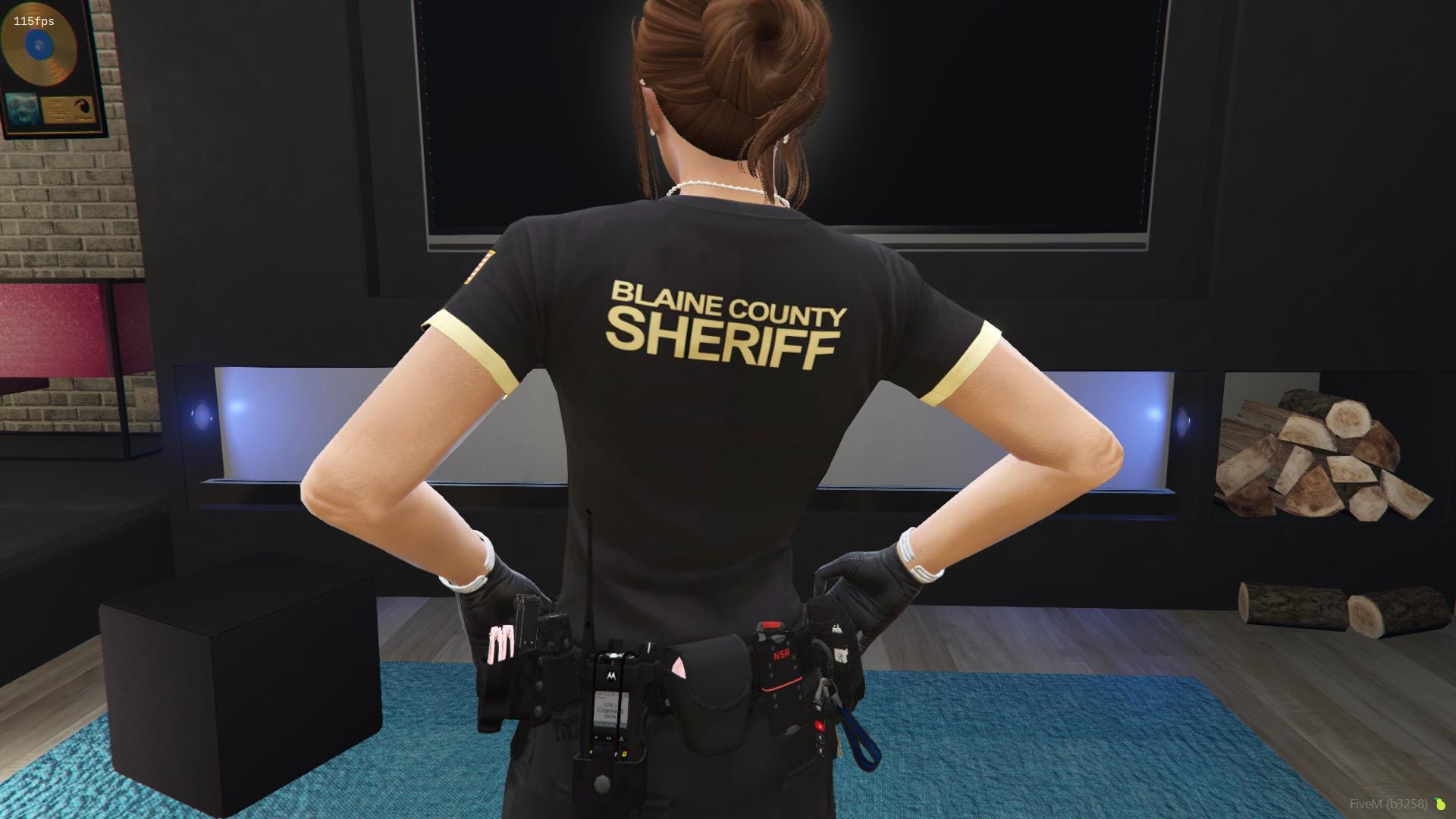 Fivem Ready BCSO Pack Male and Female | Armored Vests and Helmets ...
