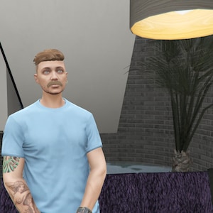 Fivem Male Hair & Beard Pack: 67 Hair Styles, 7 Beards - Etsy