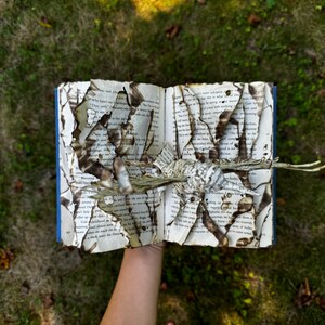 Wings on Fire, the Hunger Games Mockingjay Made-to-order Book Sculpture ...