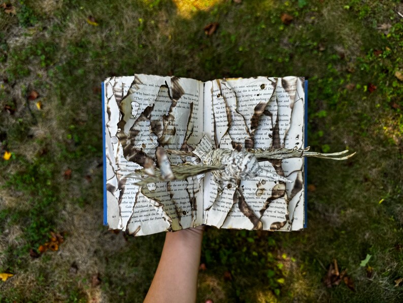 Wings on Fire, the Hunger Games Mockingjay Made-to-order Book Sculpture ...