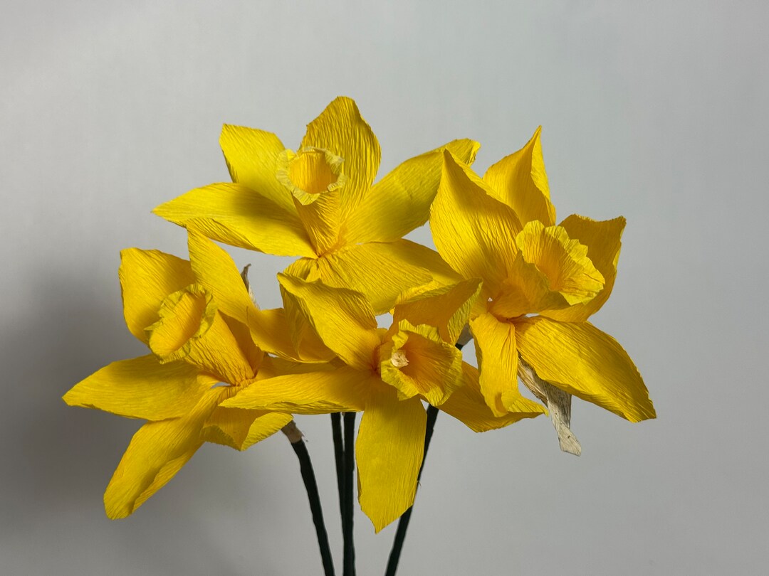 Spring Daffodils, Realistic Crepe Paper Flowers, Made to Order - Etsy