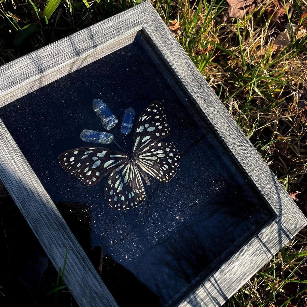 Shimmering Butterfly & Crystal Shadow Box 5x7 Frame With Blue Aura ...