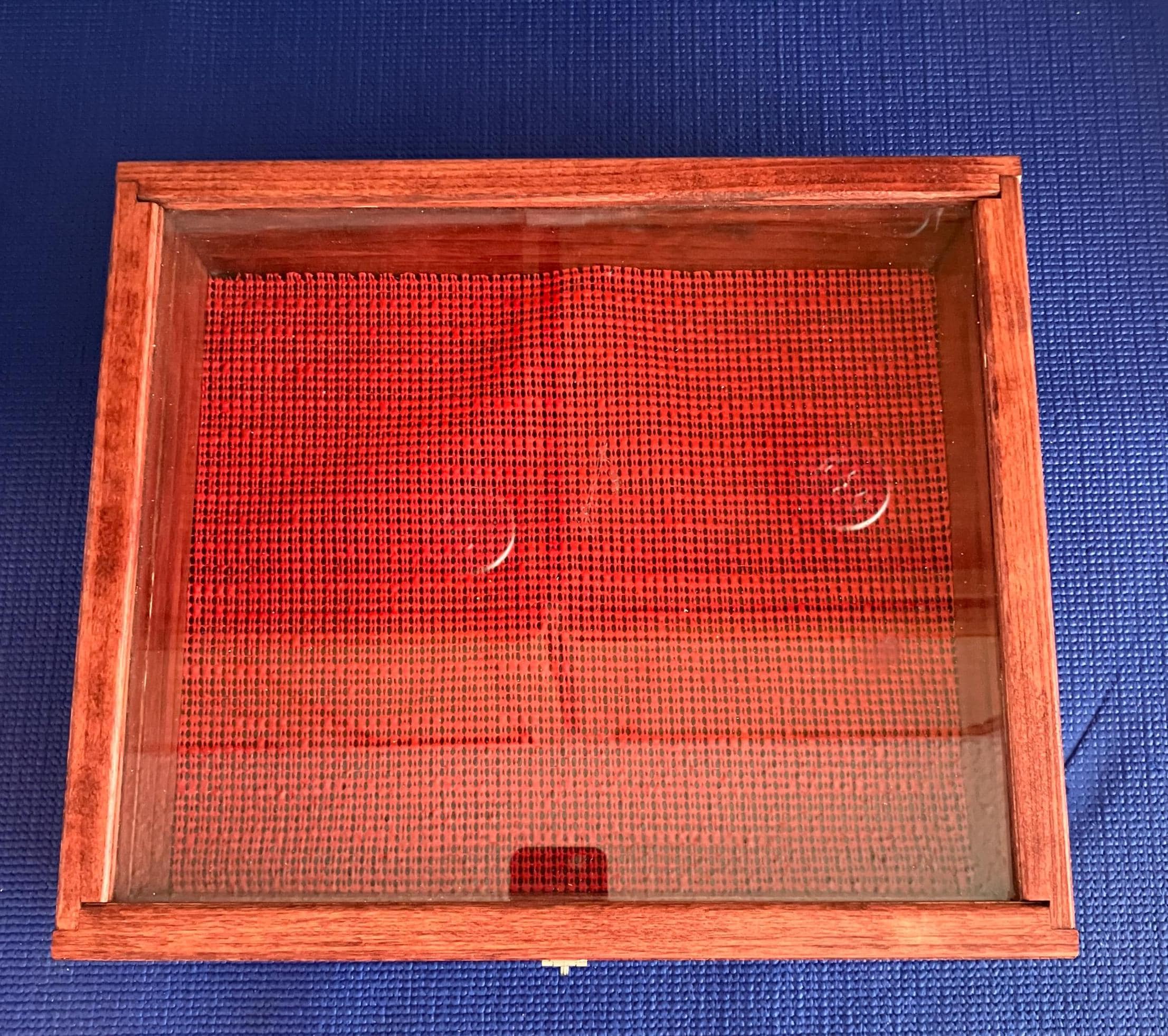 Wood Countertop Display Case Glass Top Retail, Coin, Gun, Trade Shows ...