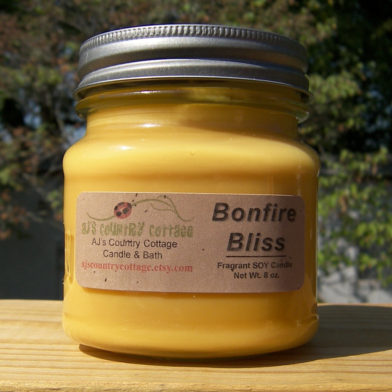BONFIRE BLISS SOY Candle - Fall Candles, Autumn Candles, Scented Soy ...