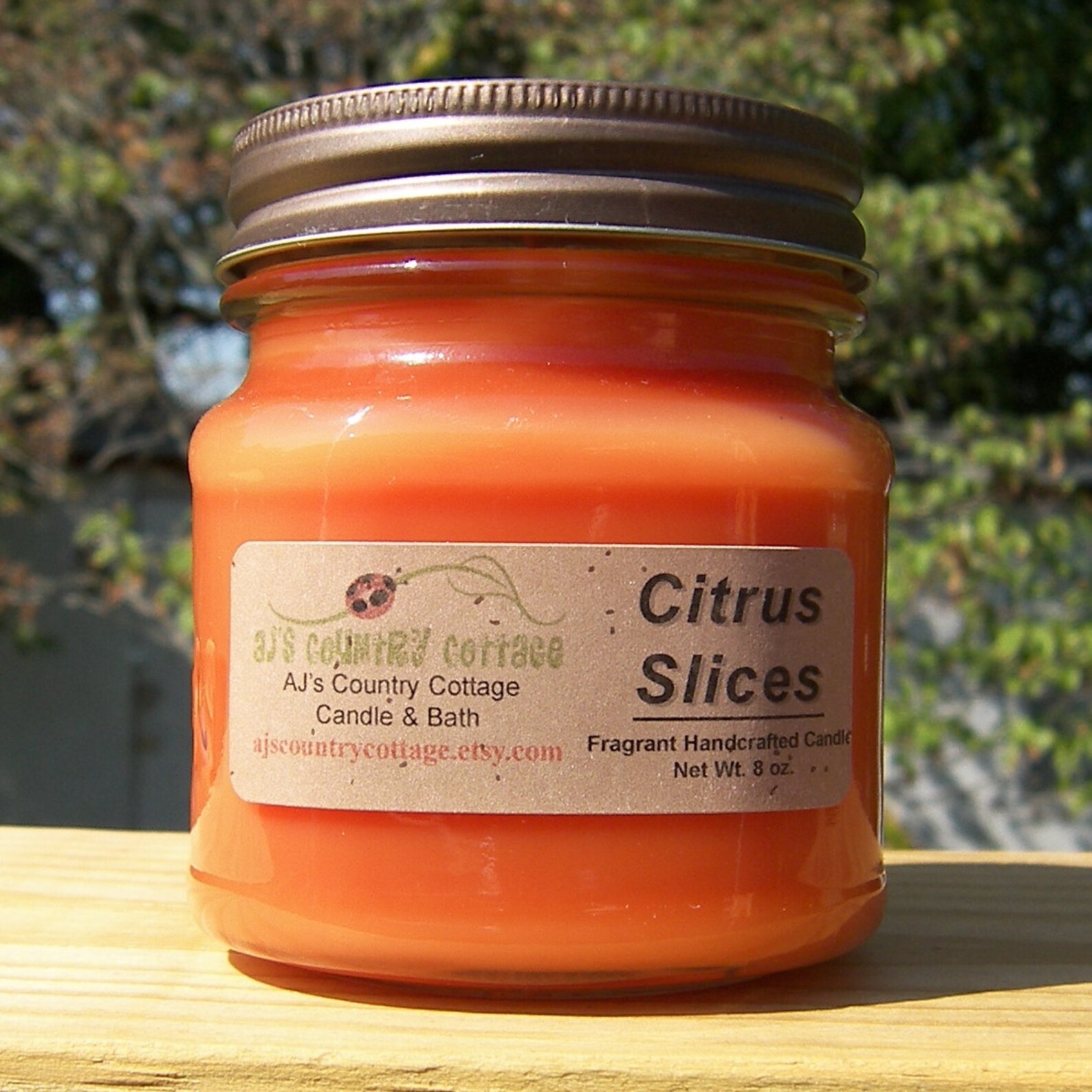 CITRUS SLICES CANDLE Citrus Candles Orange Candles Lemon - Etsy