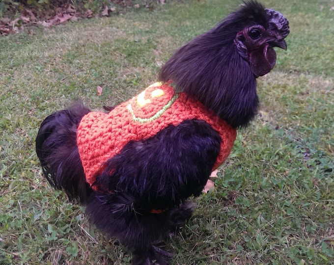 Chicken Sweater, Chickens, Hens, Roosters, Sweaters, Crochet, October ...