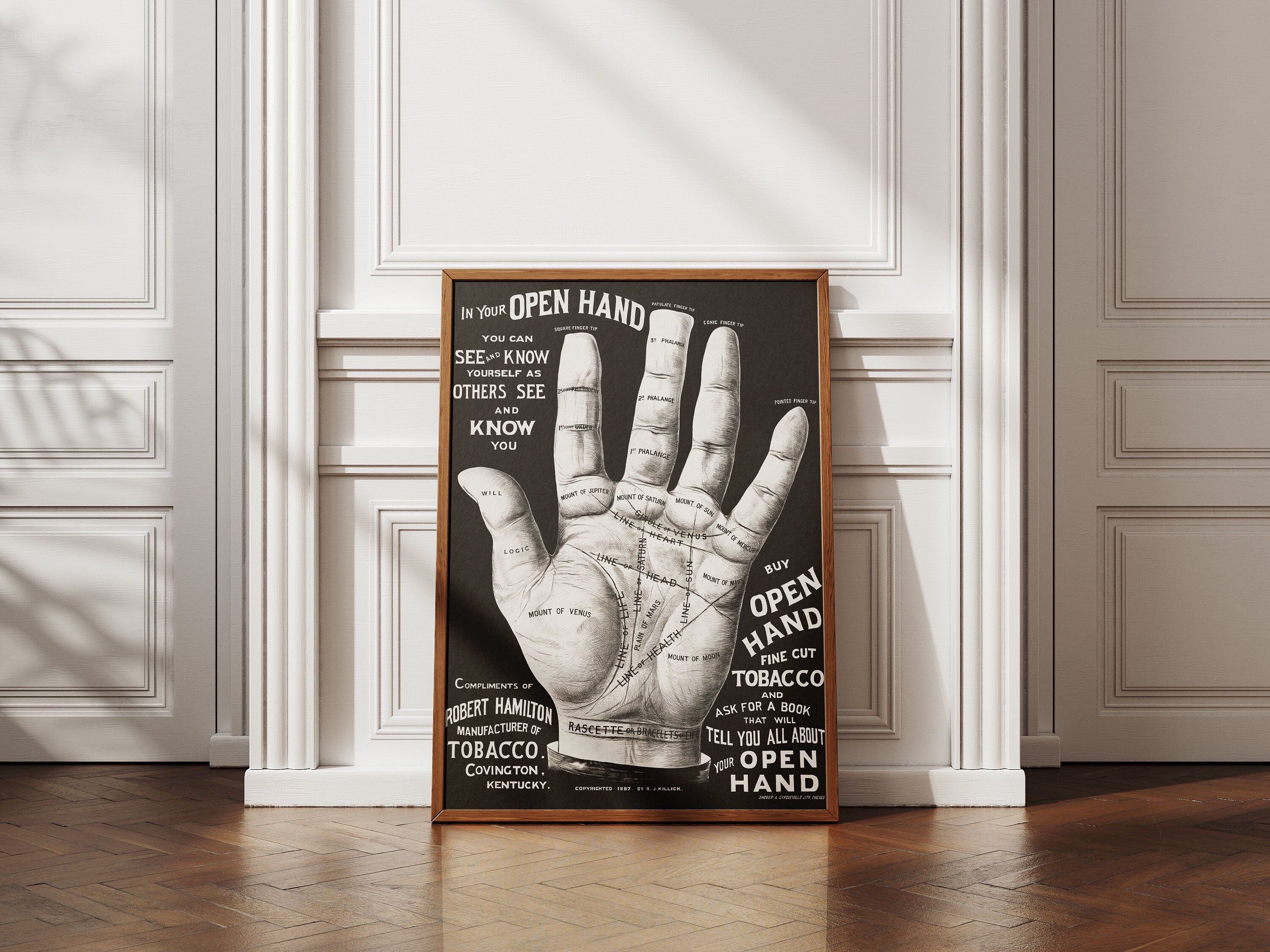 Palm Reading Poster, Palmistry Art Print, Palm Reading, Open Hand ...